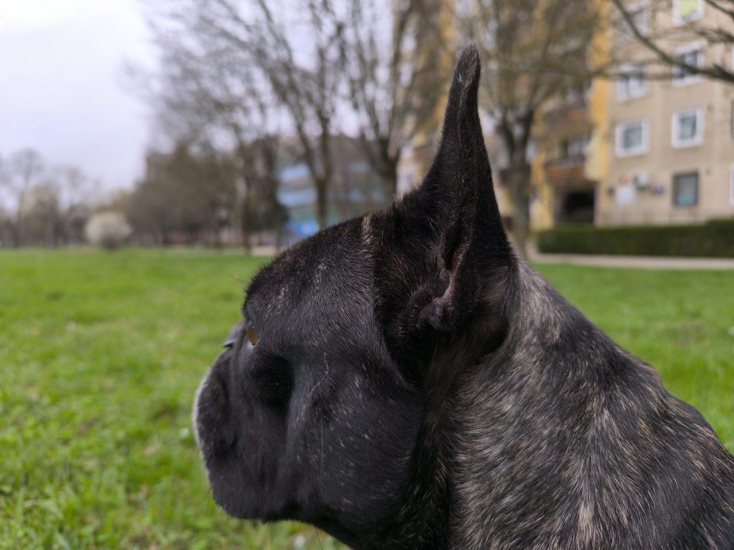 Xiaomi Redmi Note 13 Pro és Pro+ teszt: új szint a kategóriában ...